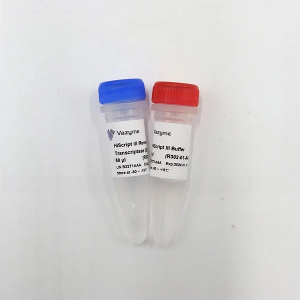 HiScript III Reverse Transcriptase (R302-01) | Vazyme | Ushelf