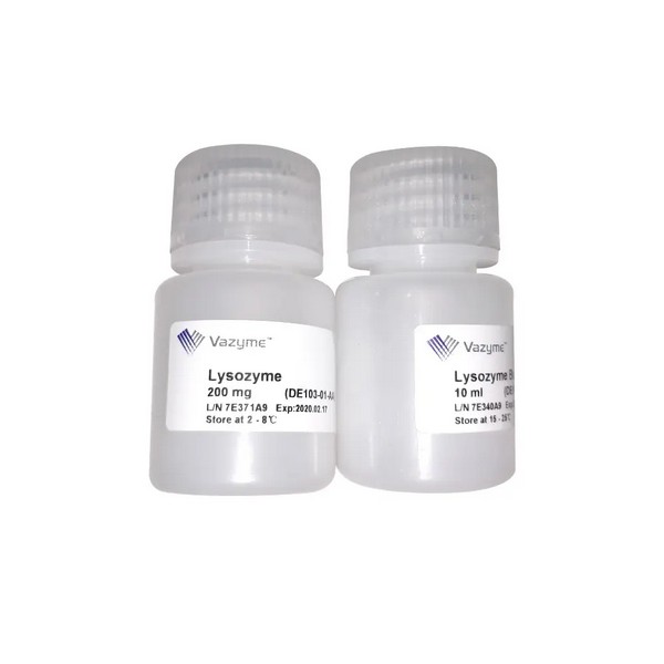 Lysozyme (DE103) | Vazyme | Ushelf
