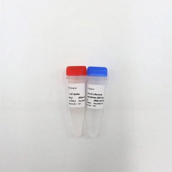 M-MLV (H-) Reverse Transcriptase (R021-01) | Vazyme | Ushelf