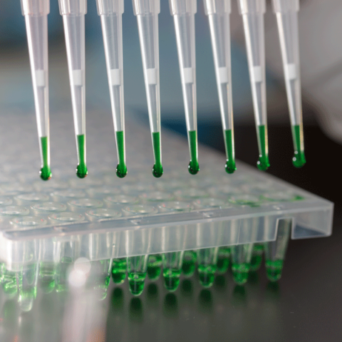 PCR Master Mixes | Syd Labs | Ushelf