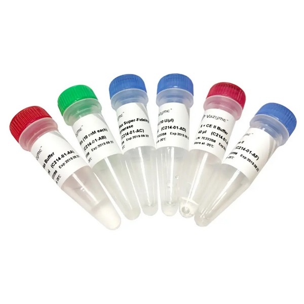 Mut Express II Fast Mutagenesis Kit V2 (C214) | Vazyme | Ushelf