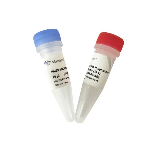 Phi29 MAX DNA Polymerase (N106) | Vazyme | Ushelf