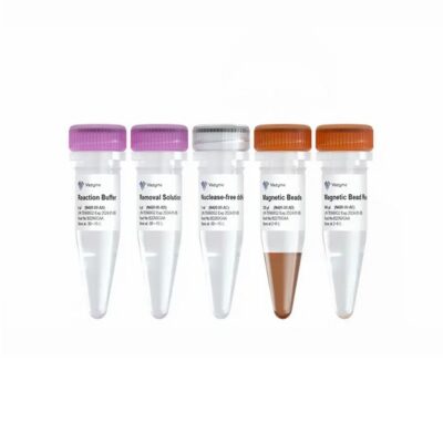 Ribo-MagOff rRNA Depletion Kit (Human/Mouse/Rat) (N420) | Vazyme | Ushelf