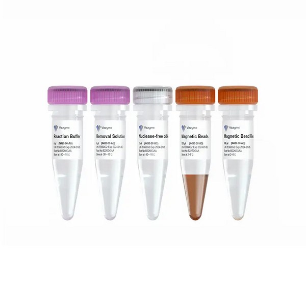 Ribo-MagOff rRNA Depletion Kit (Human/Mouse/Rat) (N420) | Vazyme | Ushelf