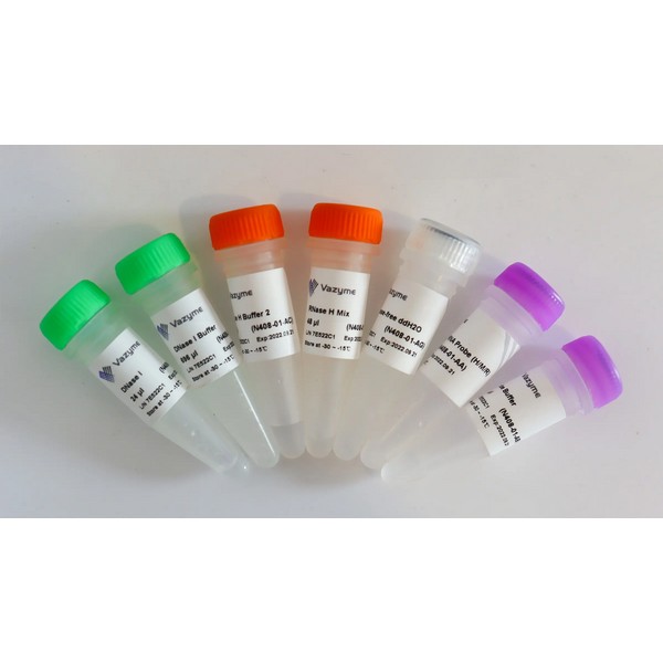 Ribo-off Globin & rRNA Depletion Kit (Human/Mouse/Rat) (N408) | Vazyme ...