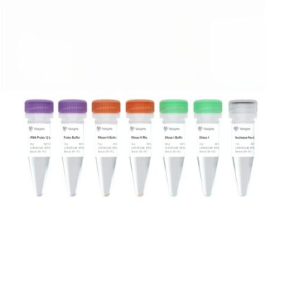 Ribo-off rRNA Depletion Kit V2 (Bacteria) (N417) | Vazyme | Ushelf