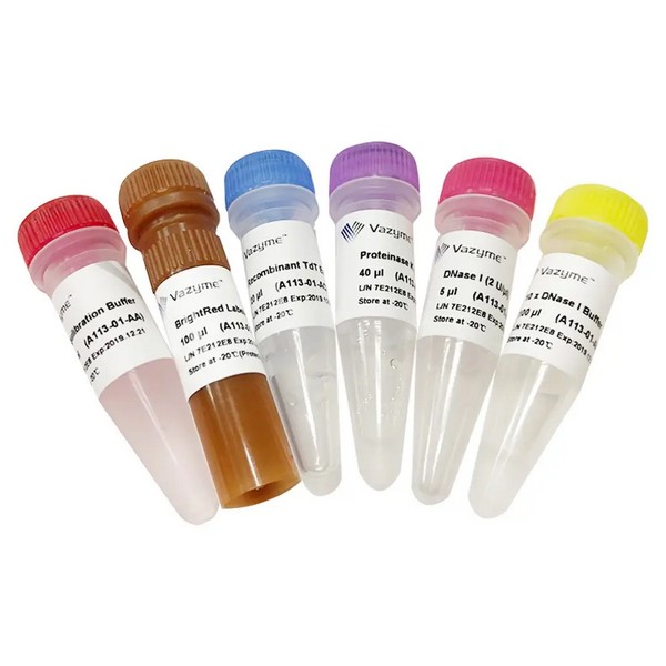 TUNEL BrightRed Apoptosis Detection Kit (A113) | Vazyme | Ushelf