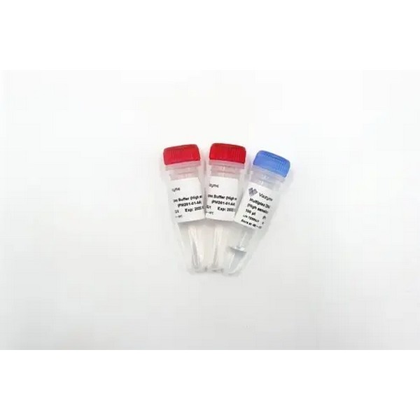 Taq Pro Multiplex DNA Polymerase (PM201) | Vazyme | Ushelf