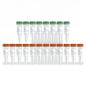 TruePrep Index Kit V2 for Illumina (TD202) | Vazyme | Ushelf