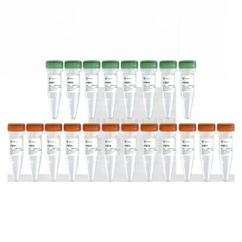 TruePrep Dual Index Kit V1 for MGI (TDM201-01) | Vazyme | Ushelf