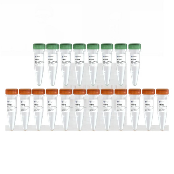 TruePrep Dual Index Kit V1 for MGI (TDM201-01) | Vazyme | Ushelf