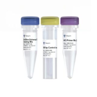 Ultra-Universal TOPO Cloning Kit (C603) | Vazyme | Ushelf