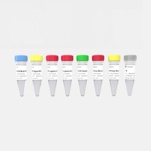 VAHTS AmpSeq Library Prep Kit V3 (NA210) | Vazyme | Ushelf