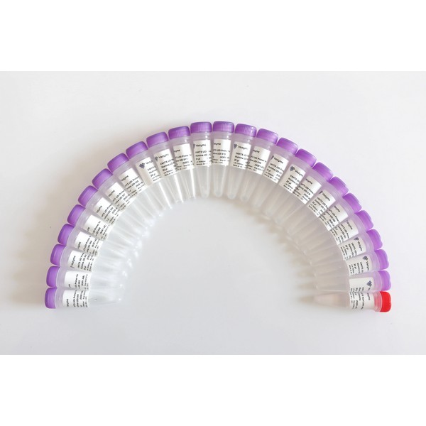 VAHTS Dual UMI UDI Adapters Set 1 – Set 4 for lllumina (N351-N354 ...