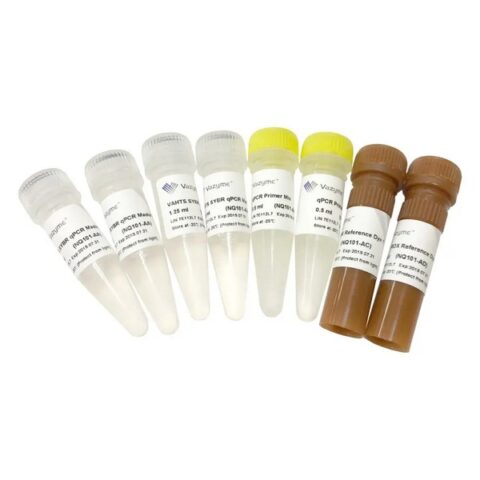 VAHTS Library Quantification Kit for IIIumina DNA Standard 1-6 (NQ105 ...