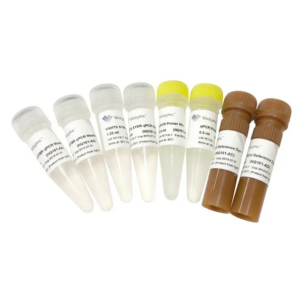 VAHTS Library Quantification Kit for IIIumina DNA Standard 1-6 (NQ105 ...