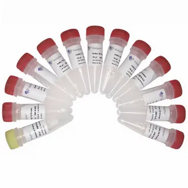 VAHTS Small RNA Index Primer Kit for Illumina (N813-N816) | Vazyme | Ushelf