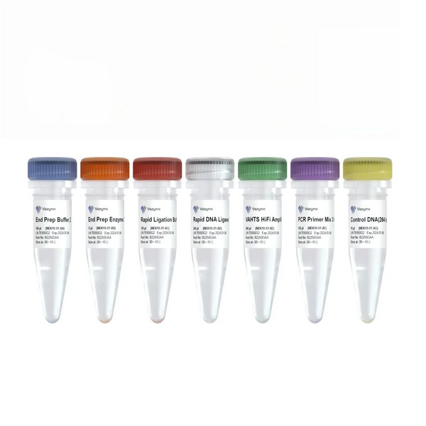 VAHTS Universal DNA Library Prep Kit for Illumina V4 (ND610) | Vazyme ...