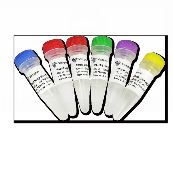 VAHTS Universal DNA Library Prep Kit for MGI (NDM607) | Vazyme | Ushelf