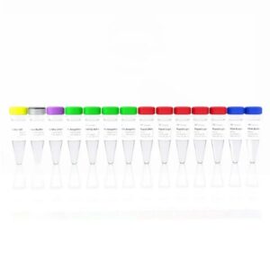 VAHTS DNA Clean Beads (N411) | Vazyme | Ushelf