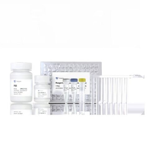 VAMNE Magnetic Pathogen DNA/RNA Kit (Prepackaged) (RM602-01) | Vazyme | Ushelf