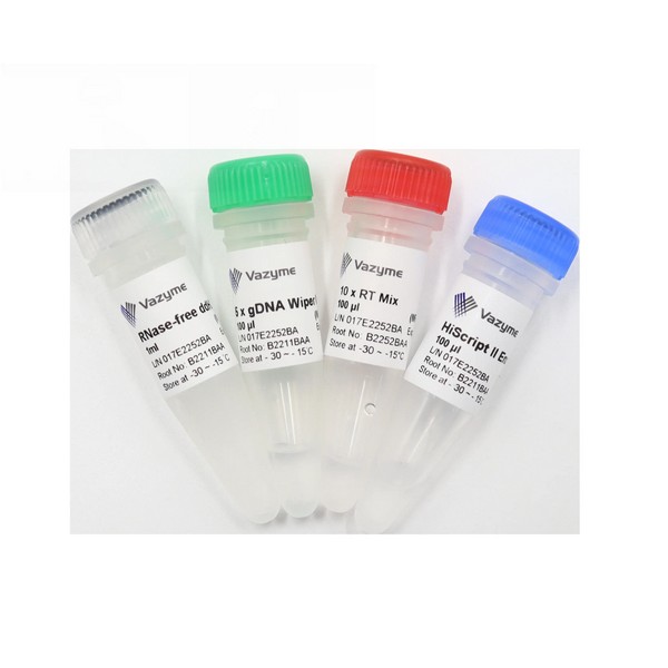miRNA 1st Strand cDNA Synthesis Kit (by stem-loop) (MR101) | Vazyme ...
