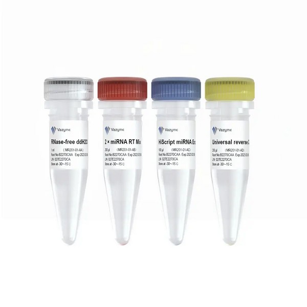 miRNA 1st Strand cDNA Synthesis Kit (by tailing A) (MR201) | Vazyme ...
