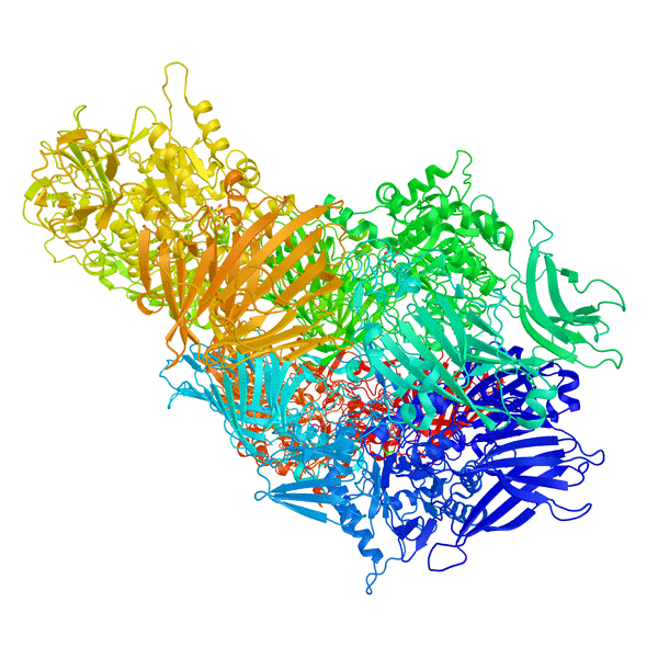 Human IgG1 Isotype Control Antibody (Clone: MOPC-21) | Ushelf