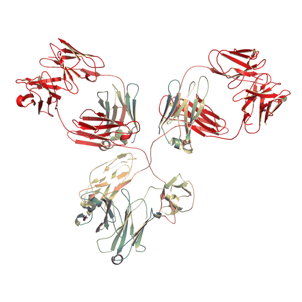 Anti-mouse CD4 Antibody (clone: YTS 177.9.6.1) | Ushelf